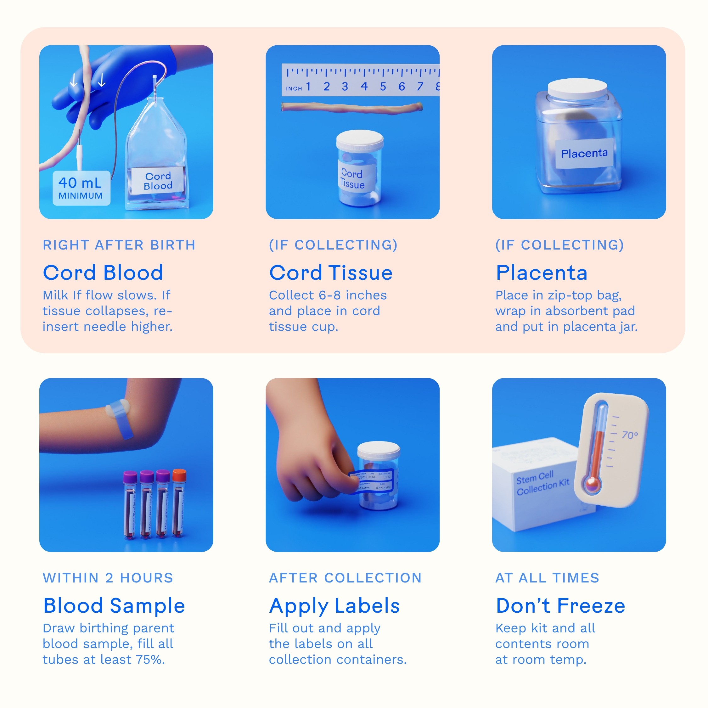 Birth Team Guide to Cord Blood, Tissue, and Placenta Collection | Anja Health